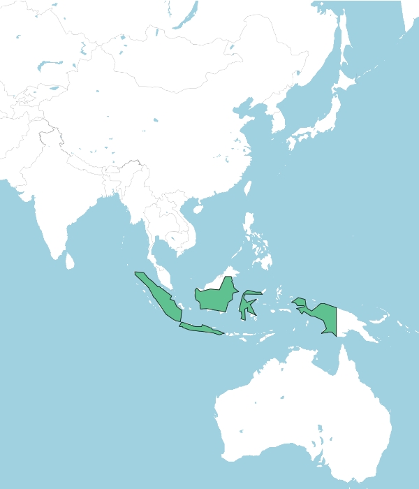 Indonesia – Combating Lung Cancer in the Asia Pacific Region